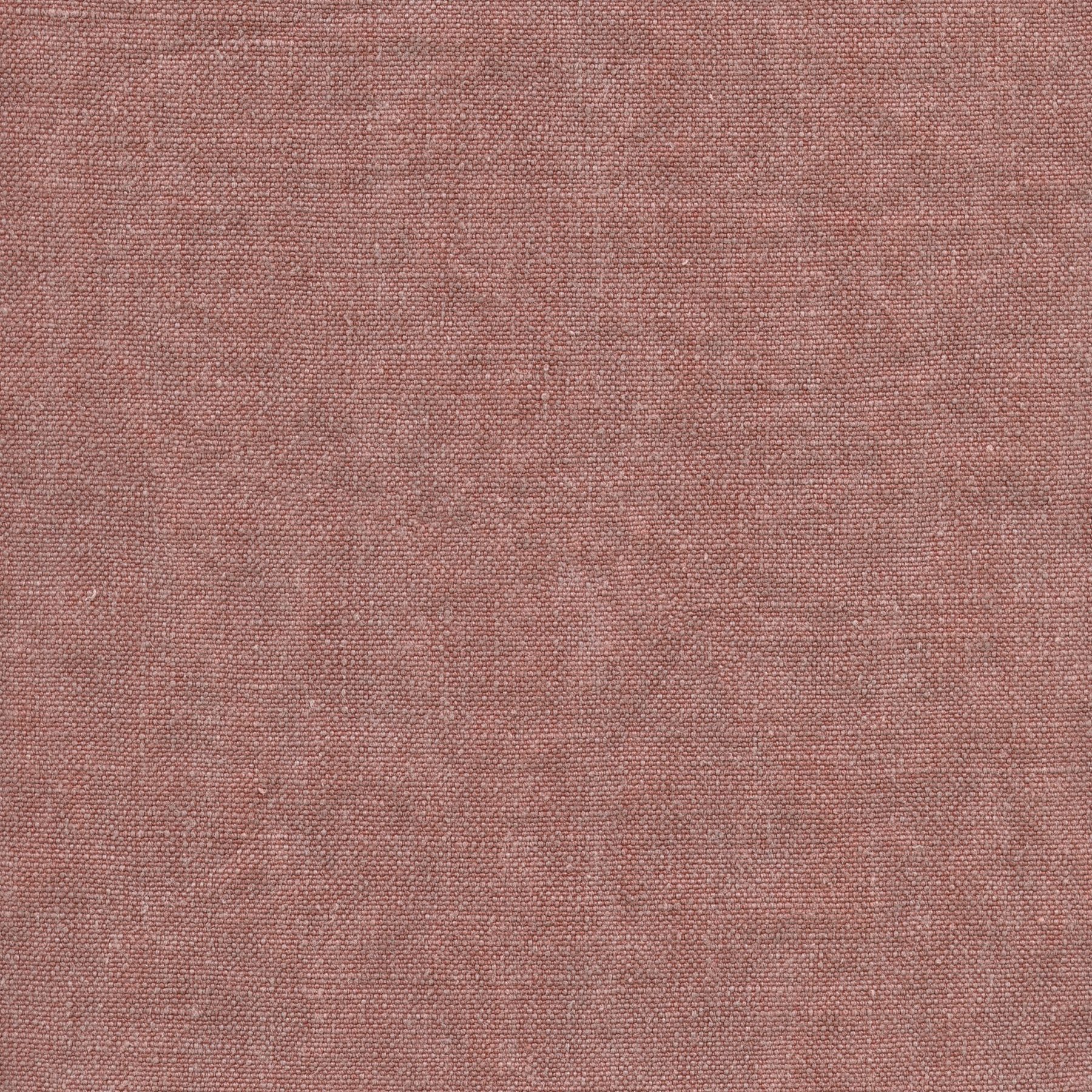 CLAIRE ALLSPICE | Sample - The Specified