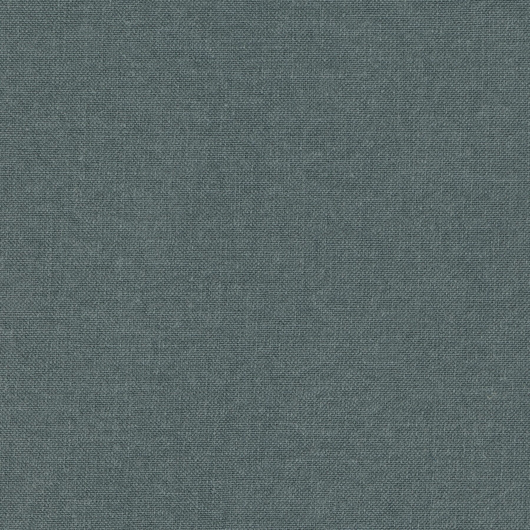 DOUCE Elephant - The Specified