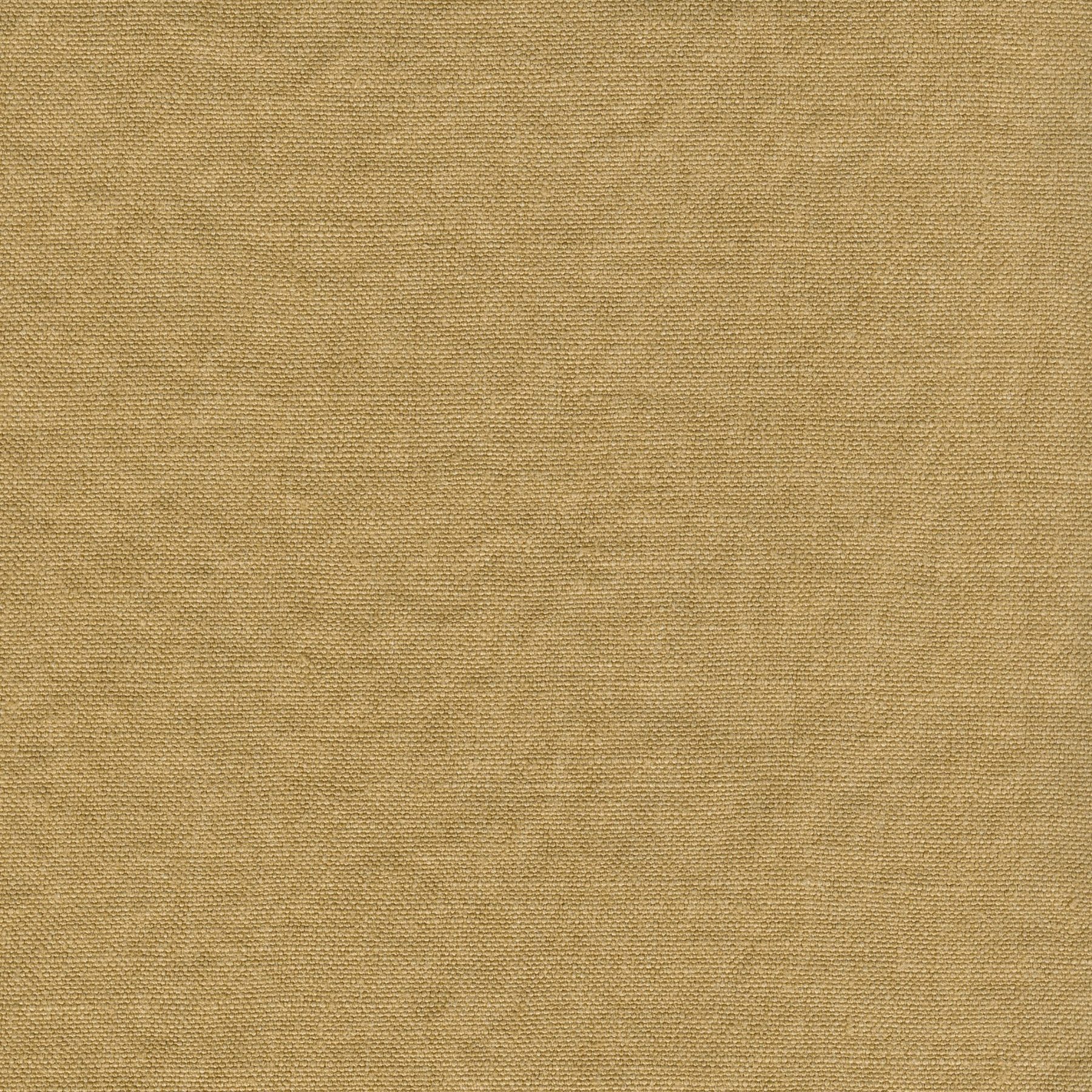 DOUCE DUNE | Sample - The Specified