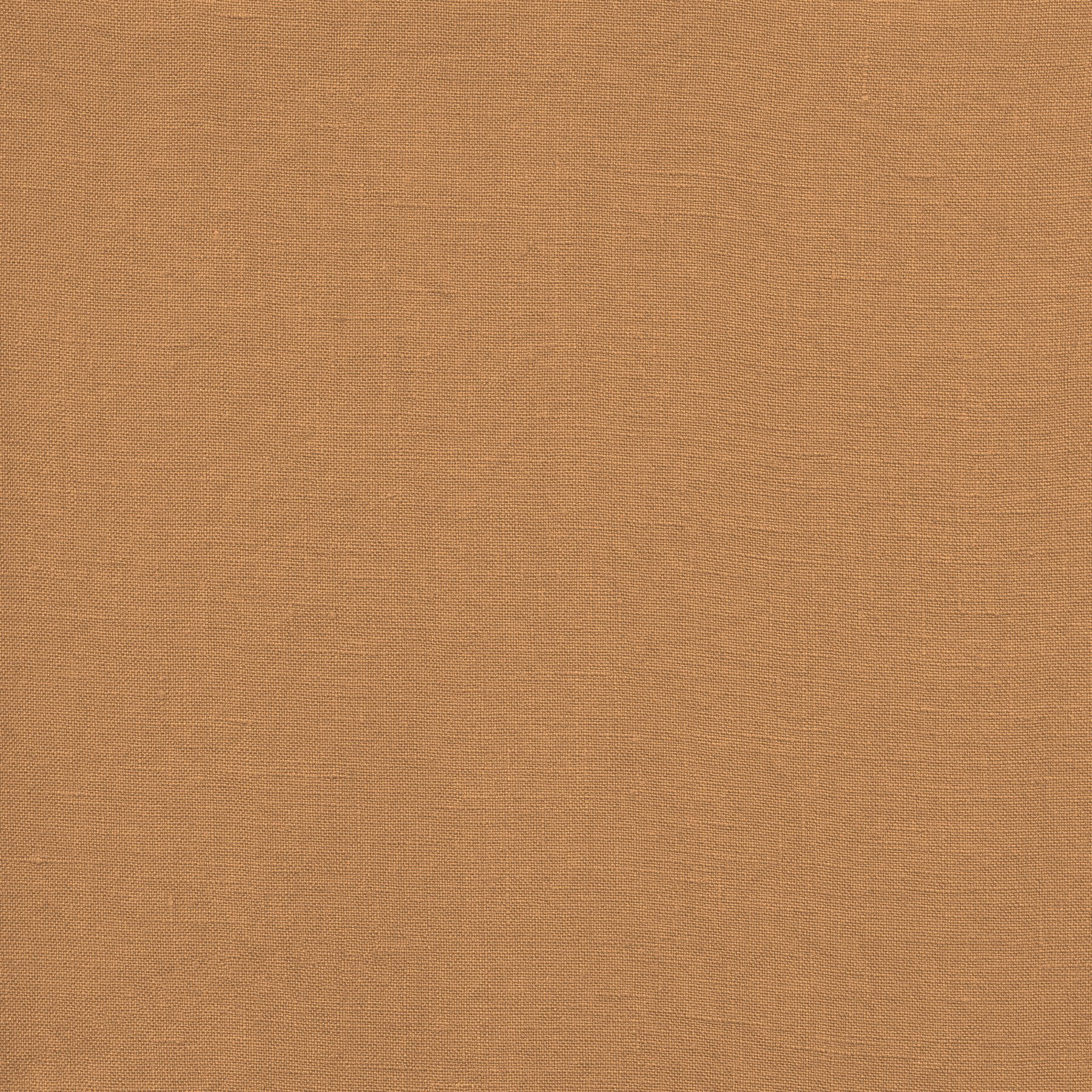 CECILE SESAME | Sample - The Specified