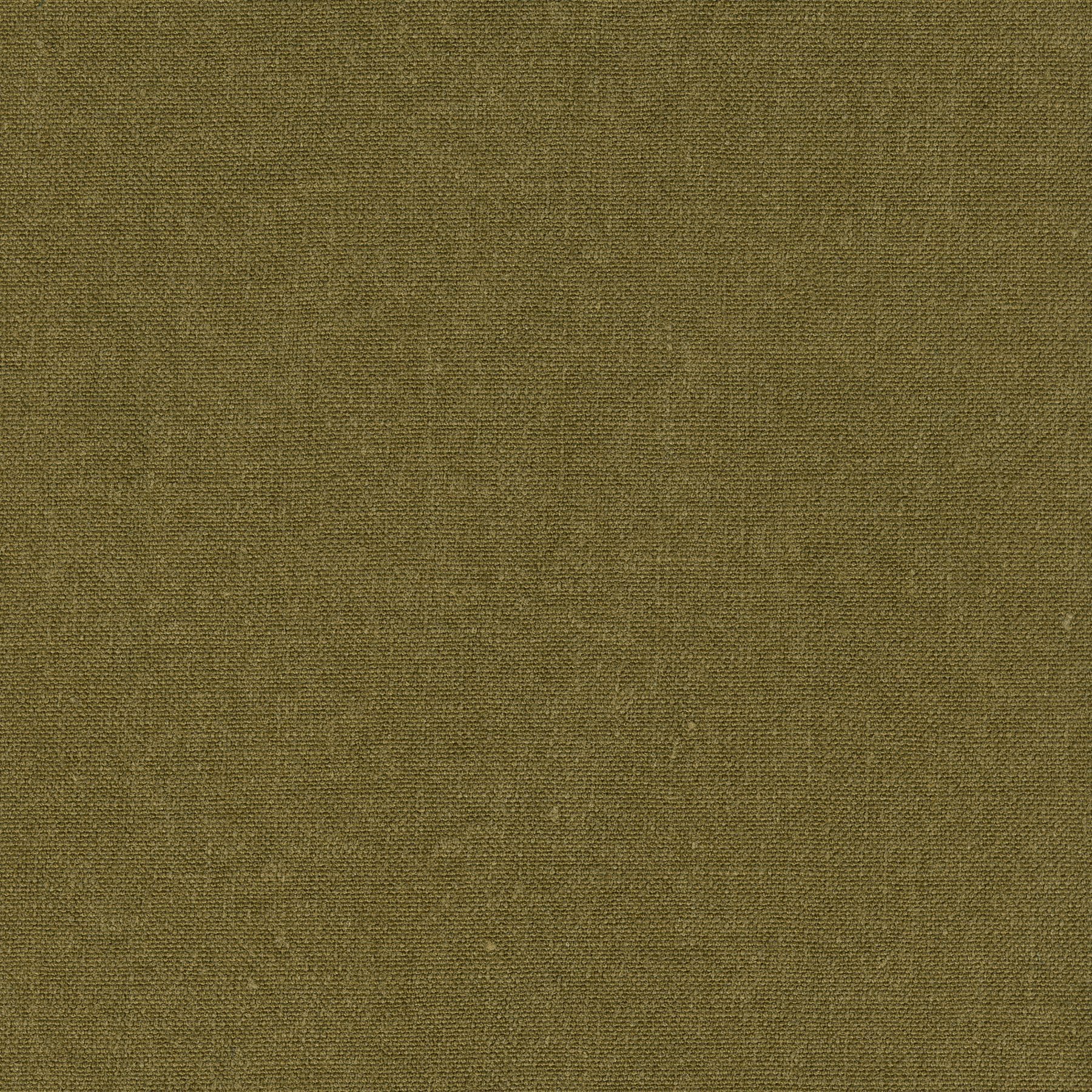 DOUCE Moss - The Specified