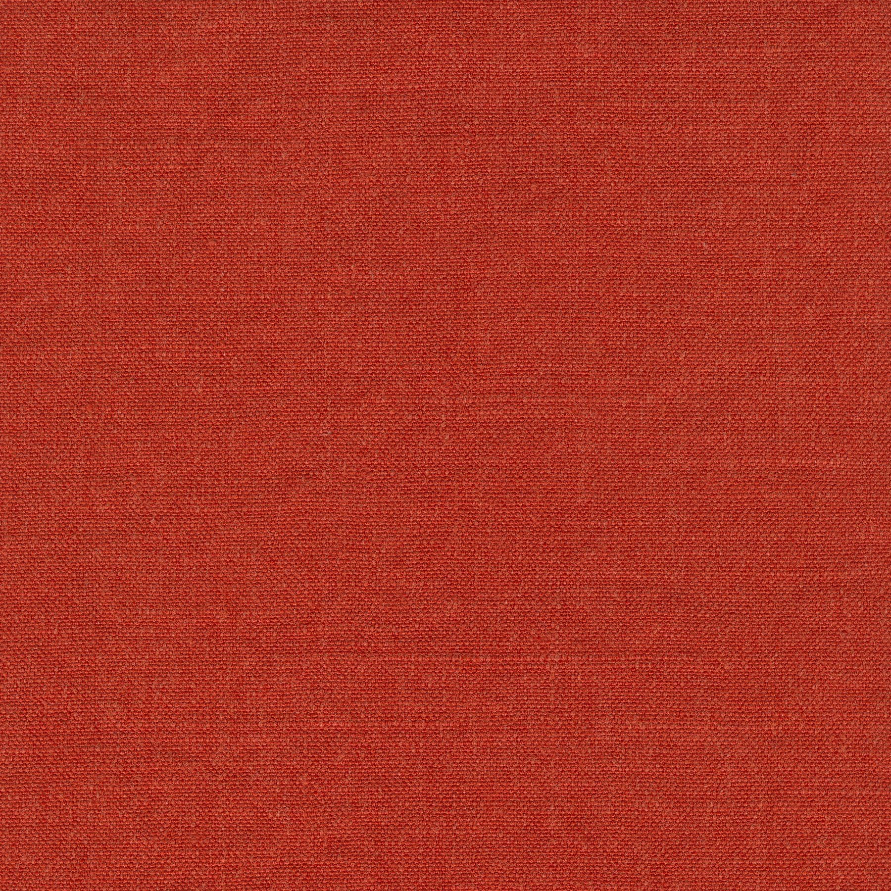 DOUCE Orange - The Specified