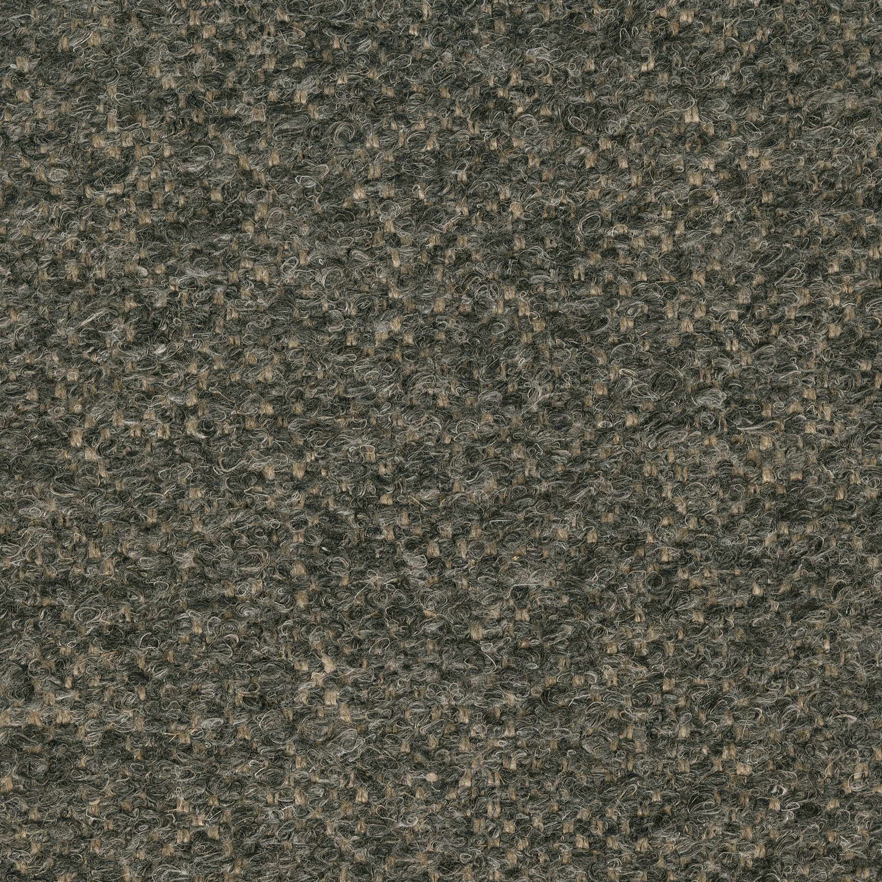 George Caviar | Sample - The Specified