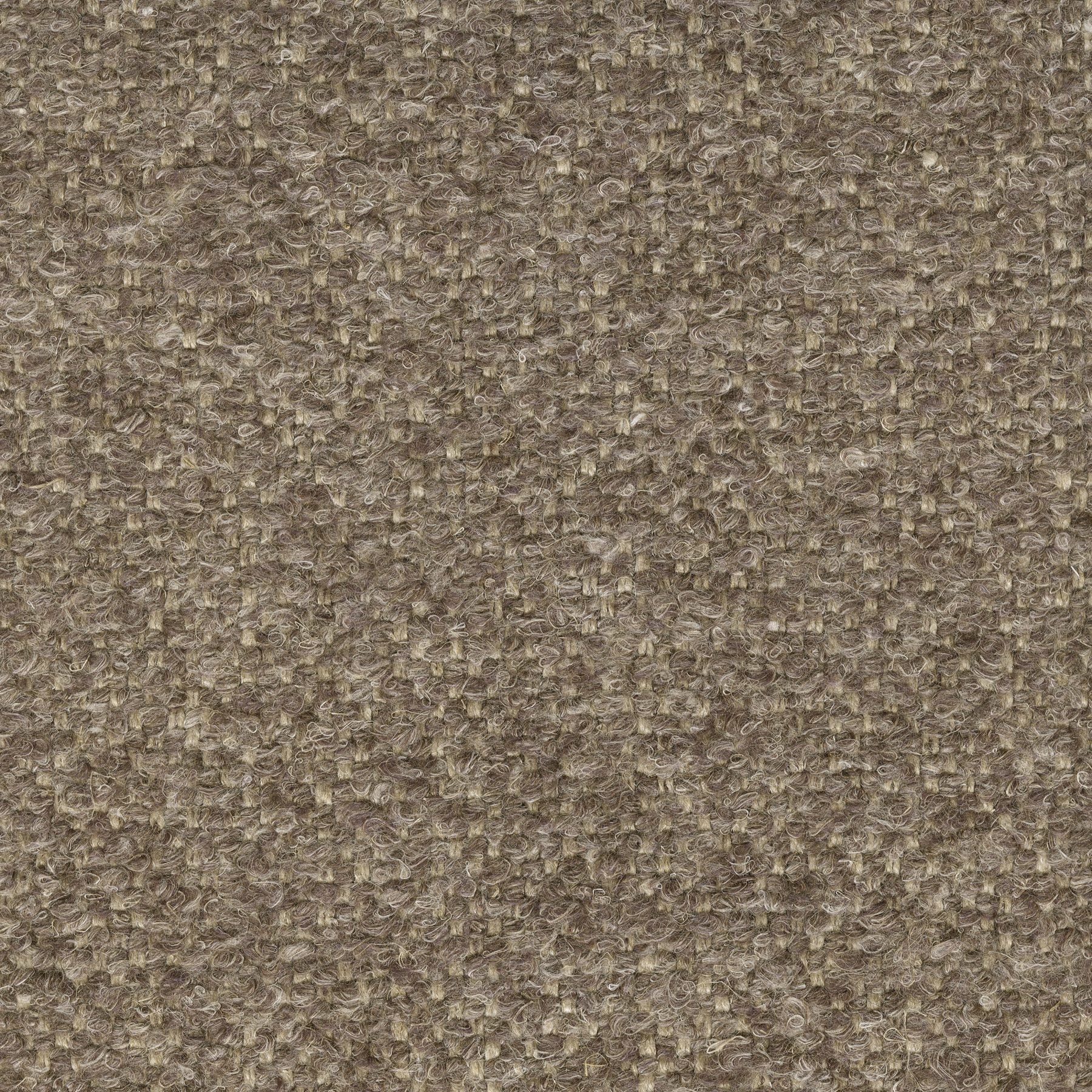 George Espresso | Sample - The Specified