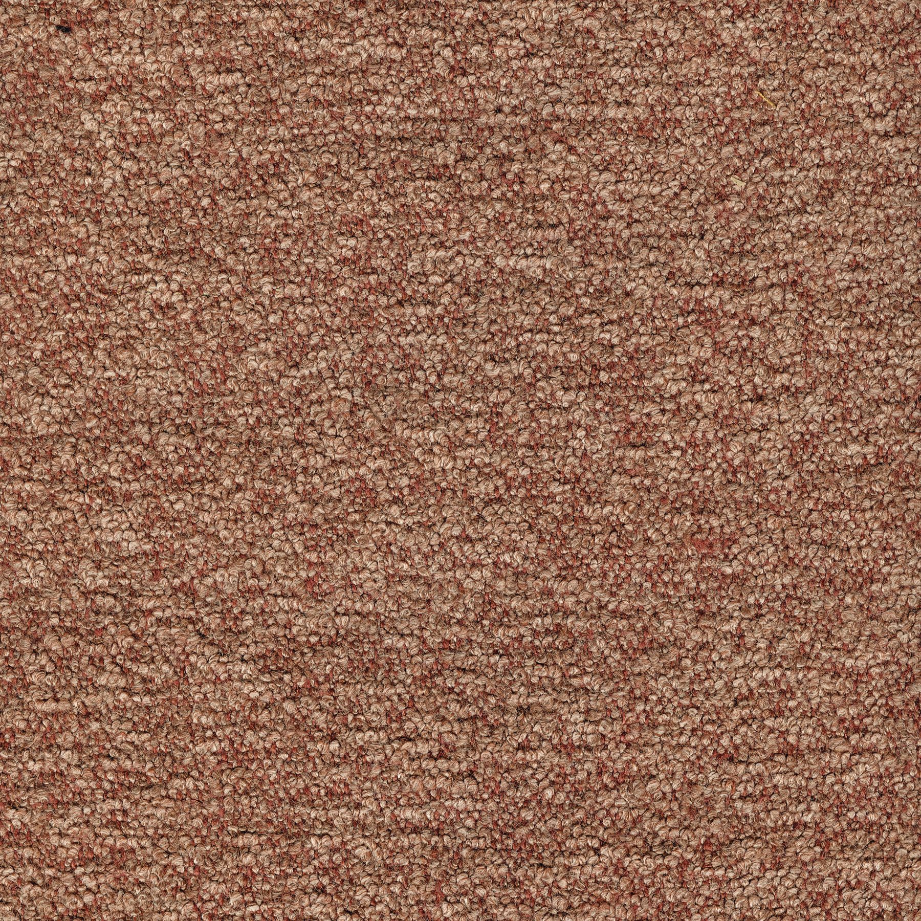 Jack Allspice | Sample - The Specified