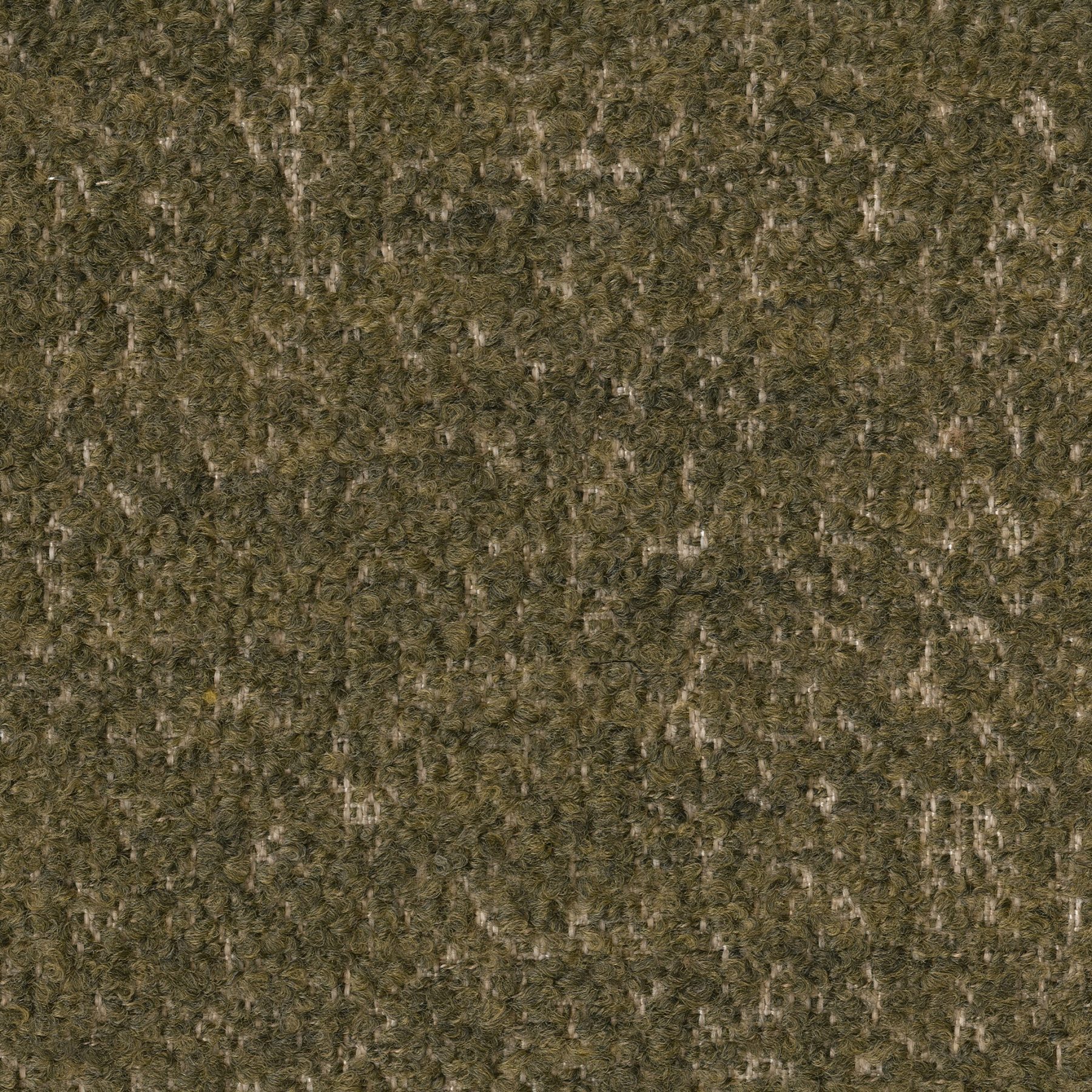 Pablo | 10 Colours - The Specified