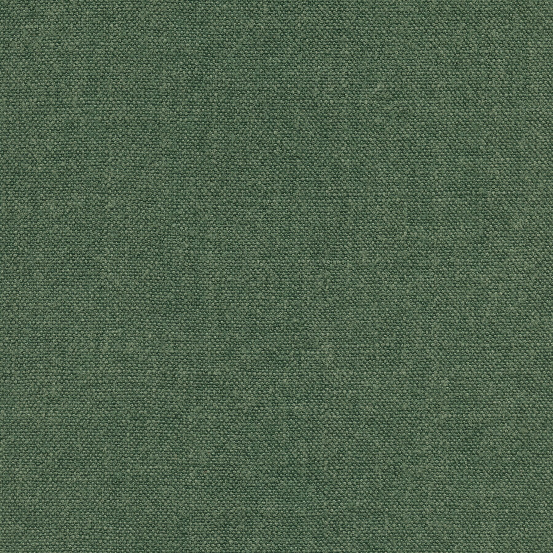Hennep Forest | Sample - The Specified