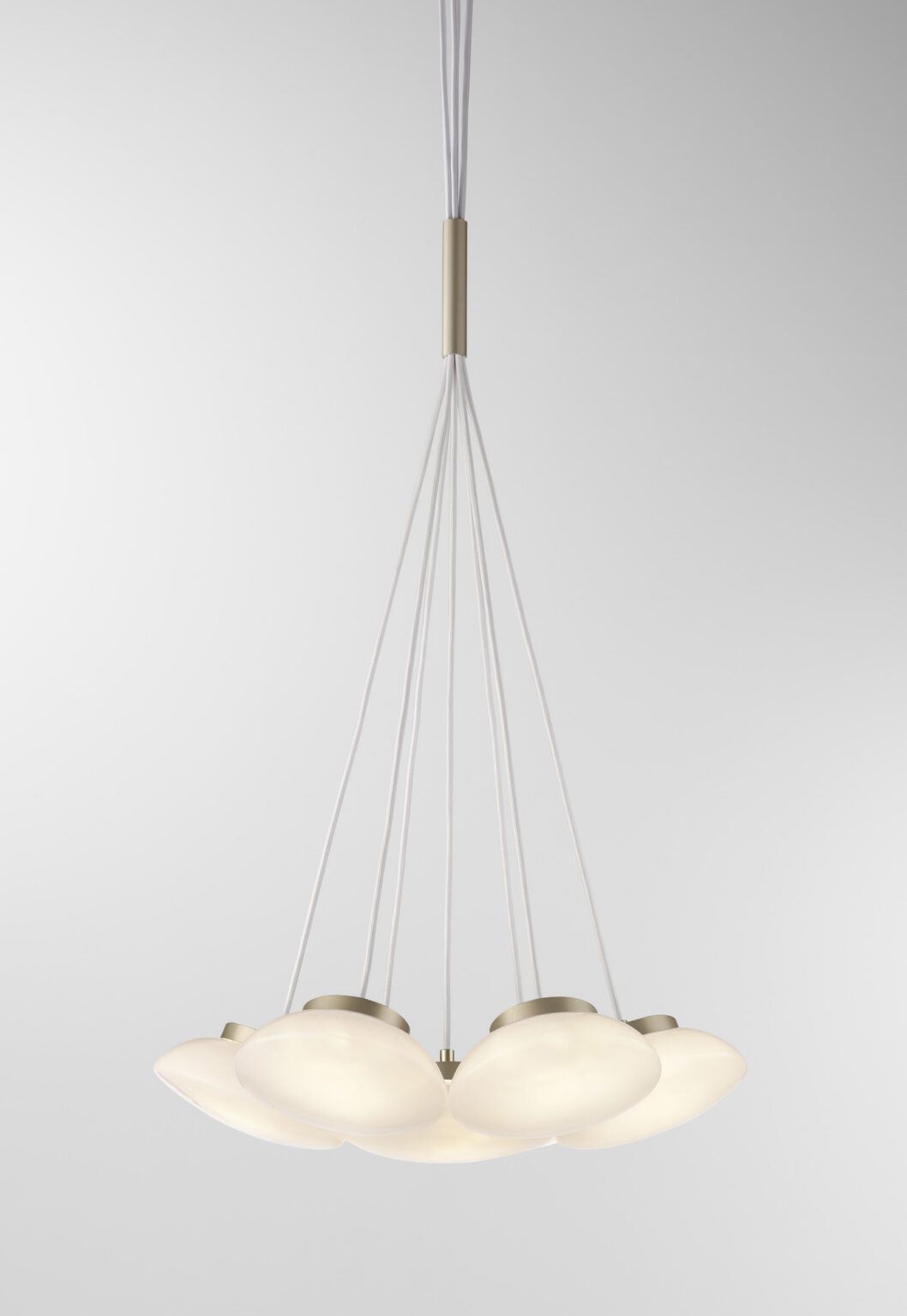 Ceto Cluster | 7 Shades - The Specified